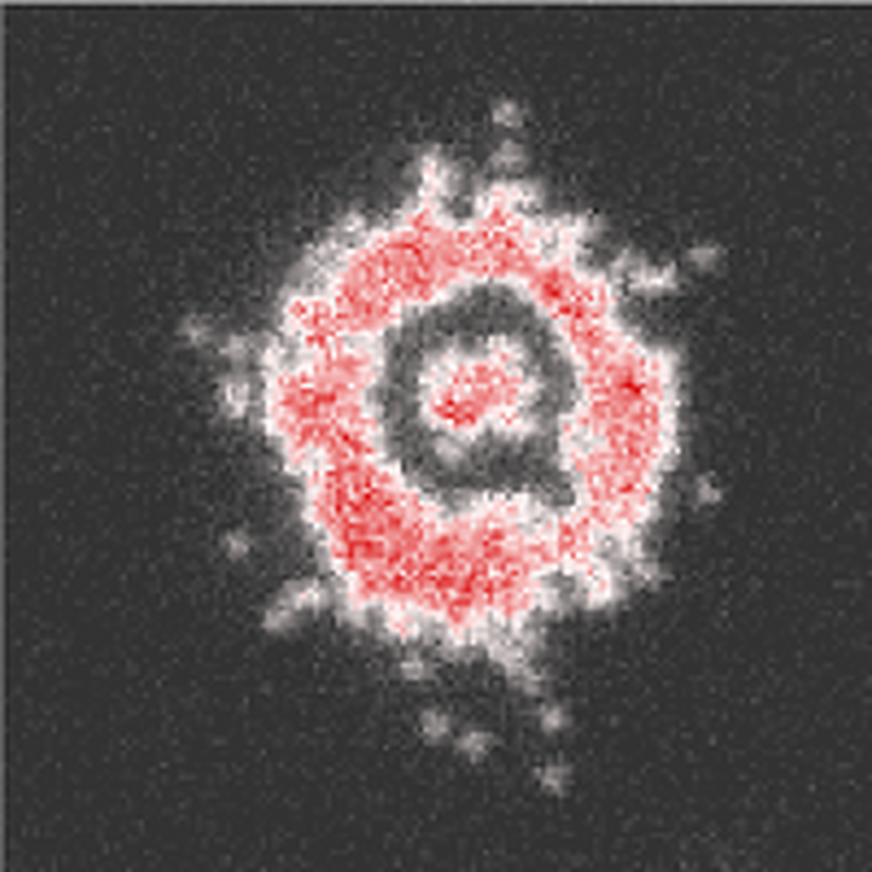 Quantum-gas microscopy with Rb 87 | EQOP