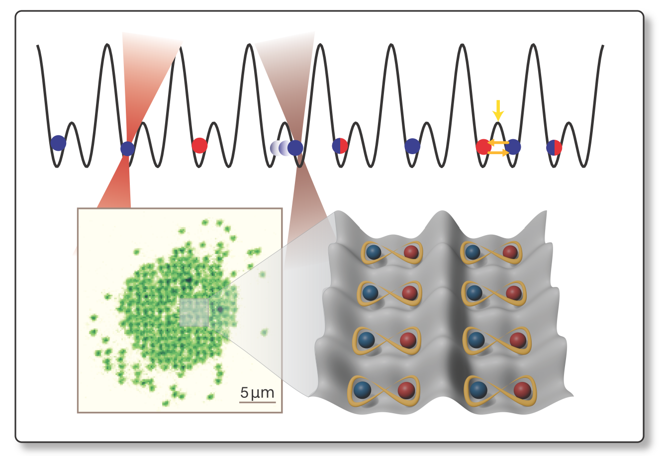 Lithium Quantum Microscope for Fermionic Quantum Simulations | EQOP
