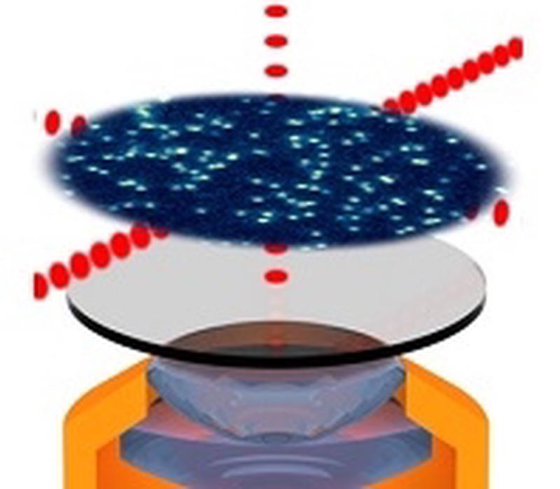 Quantum gas microscopes | EQOP